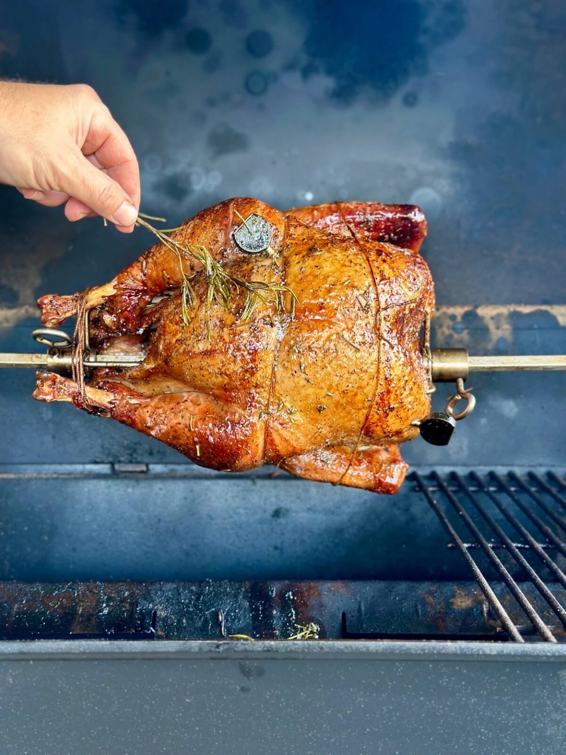 Rotisserie Turkey on the Grill (with Easy Dry Brine) | Pellets and Pits