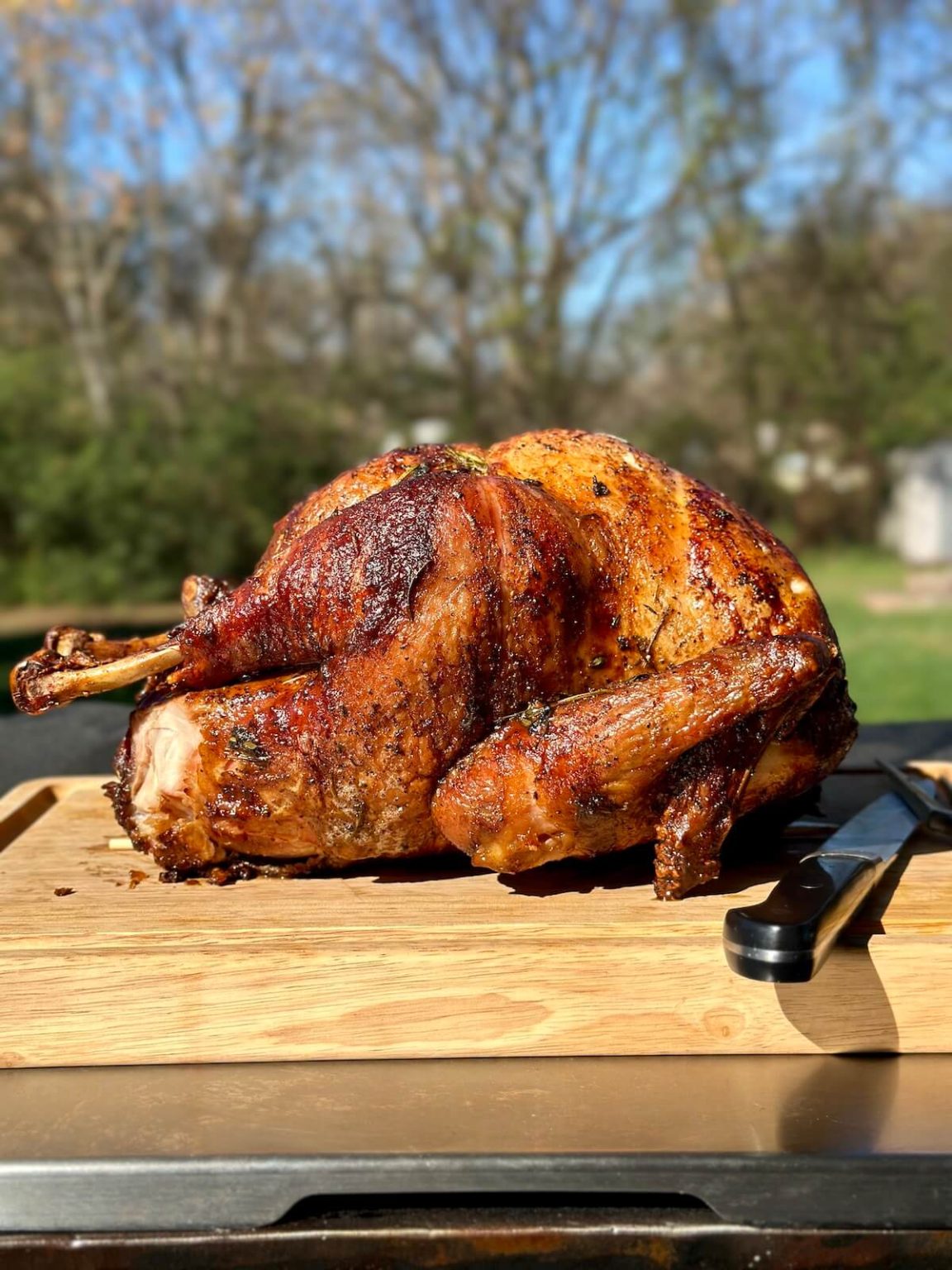 Rotisserie Turkey on the Grill (with Easy Dry Brine) | Pellets and Pits